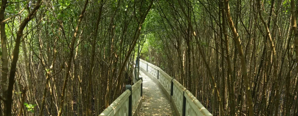 Rajah Island - Ayurveda centres in Kerala, India